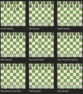 Weird Openings - Jurong Spring Chess Club